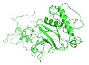 TP53: Tumor protein p53 - Bioinformatics For Dentistry